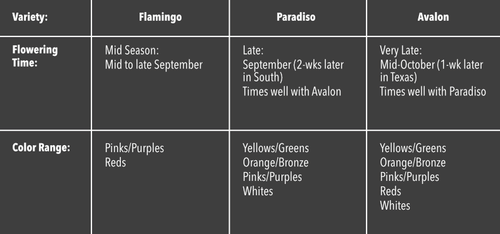 Thrive 2.0 - Mums The Word